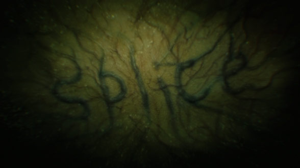 Splice (2009) — Art of the Title